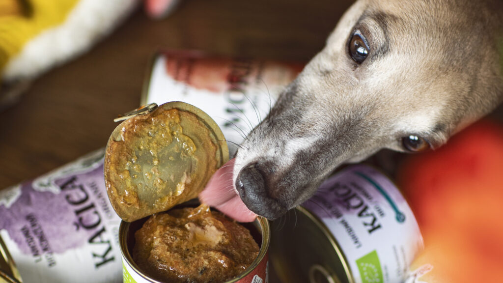 Pet Farm Family vaří pro domácí miláčky, kteří jsou opravdovými členy ...